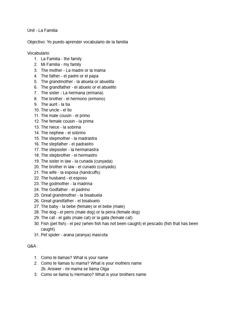 Spanish Notes La Familia | PDF