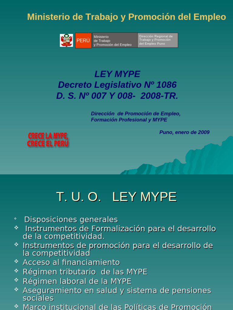 Ley Mype | PDF | Pequeñas y medianas empresas | Pensión