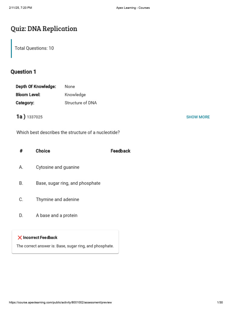 (Key Answer) DNA Replication | PDF | Nucleotides | Dna Replication
