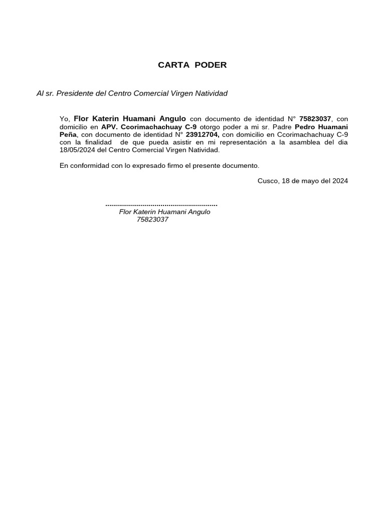 Carta Poder Notarial (Persona Natural) | PDF