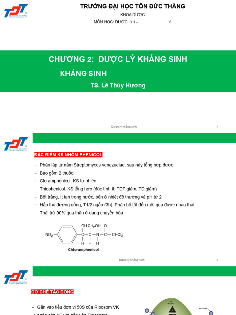 Phenicol | PDF
