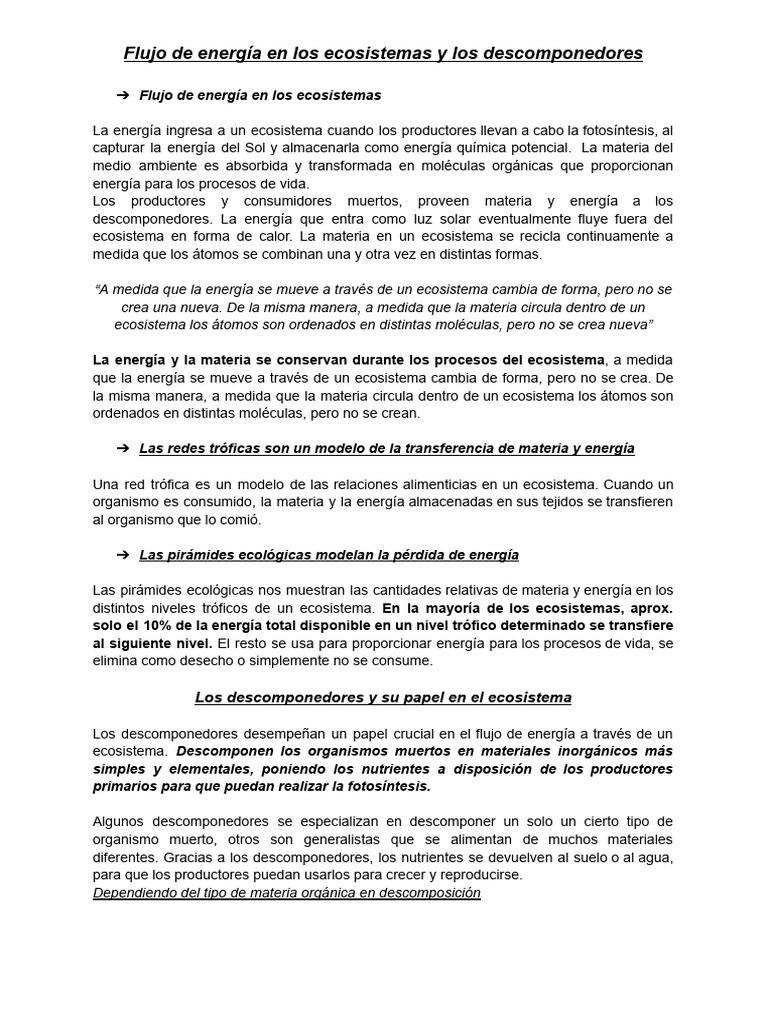 Flujo de energía en los ecosistemas | PDF | Red alimentaria | Ecología