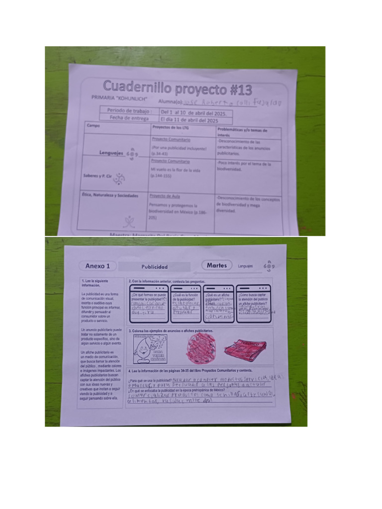 Cuadernillo proyecto #13 | PDF