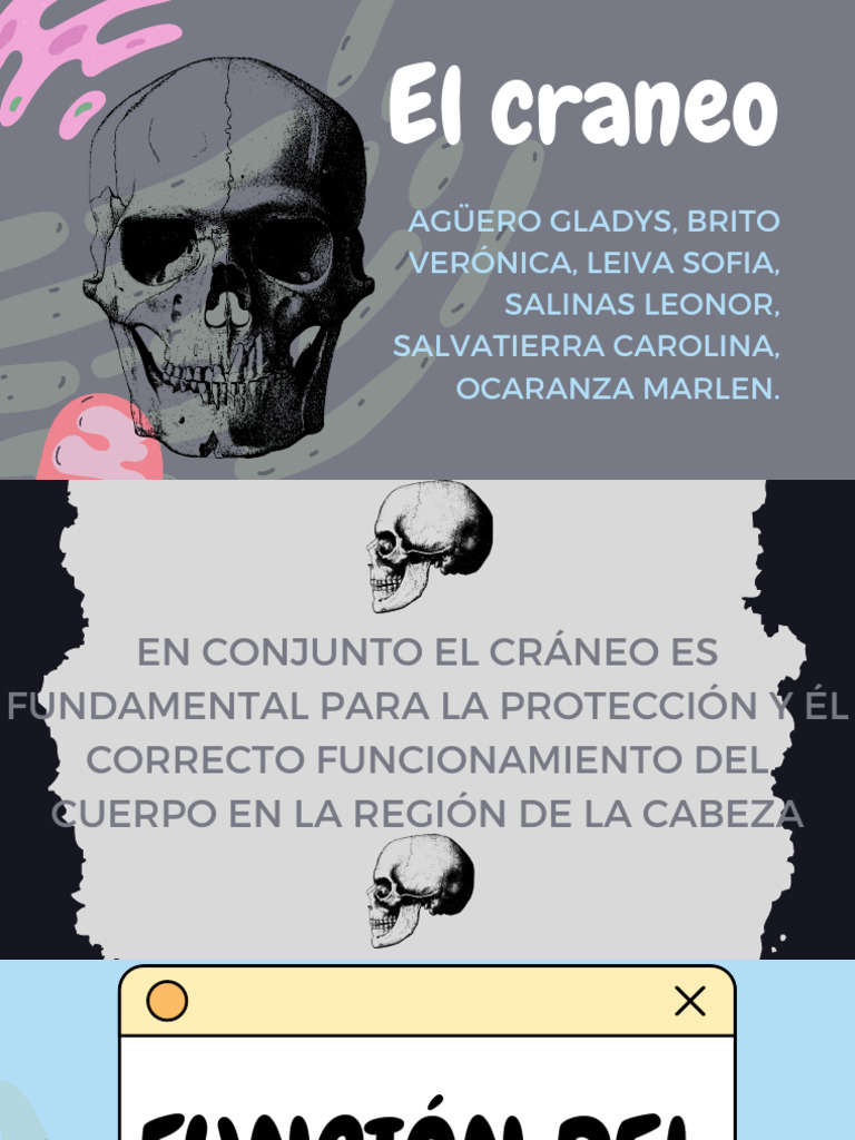 El Craneo | PDF
