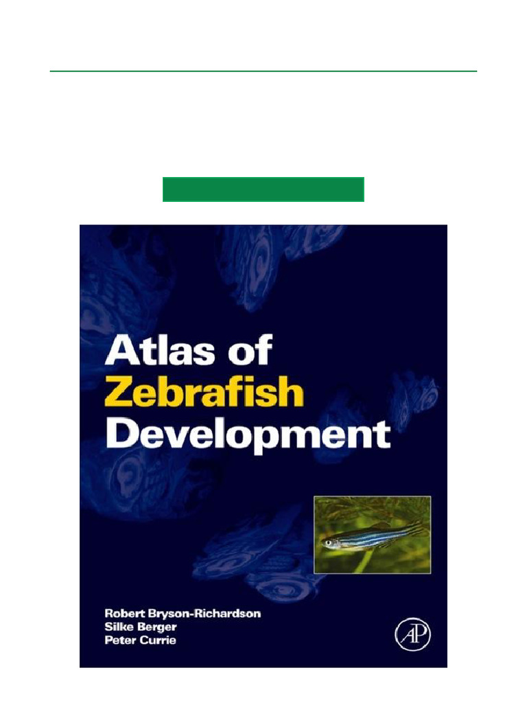 Zebrafish Development Atlas Download | PDF
