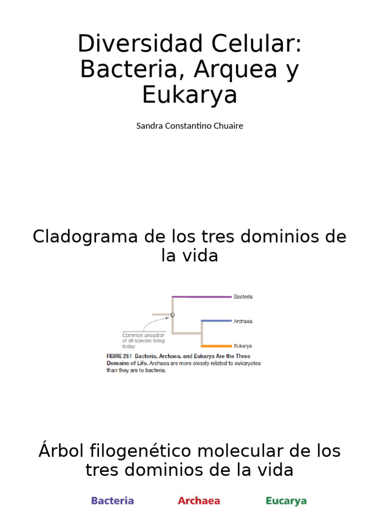 Bacteria, Arquea y Eukarya | PDF