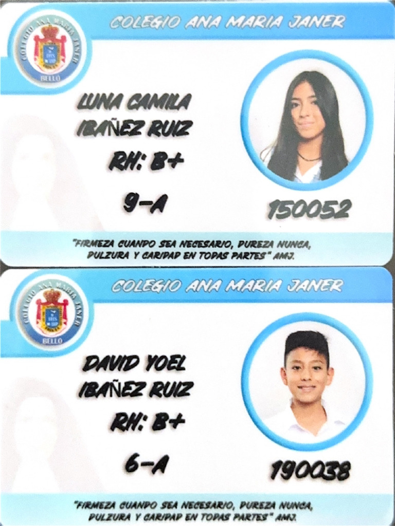 Carnets Colegio AMJ 2025 - Camila y David | PDF