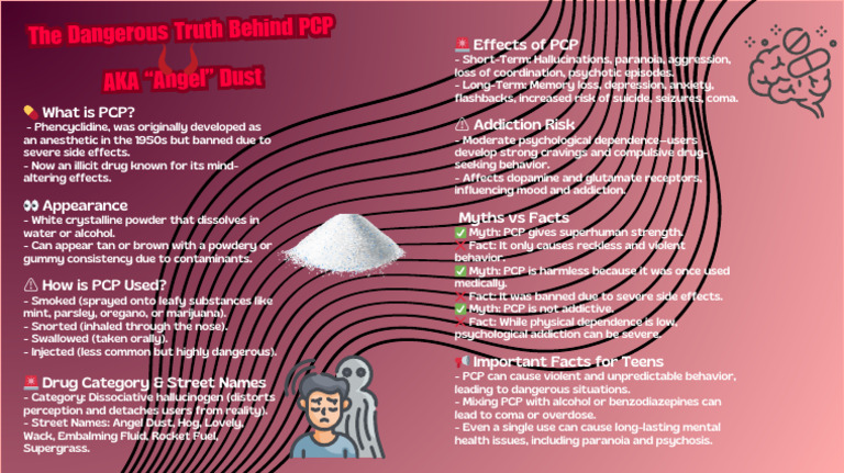 The Dangers of PCP: Myths and Facts | PDF | Phencyclidine | Drugs