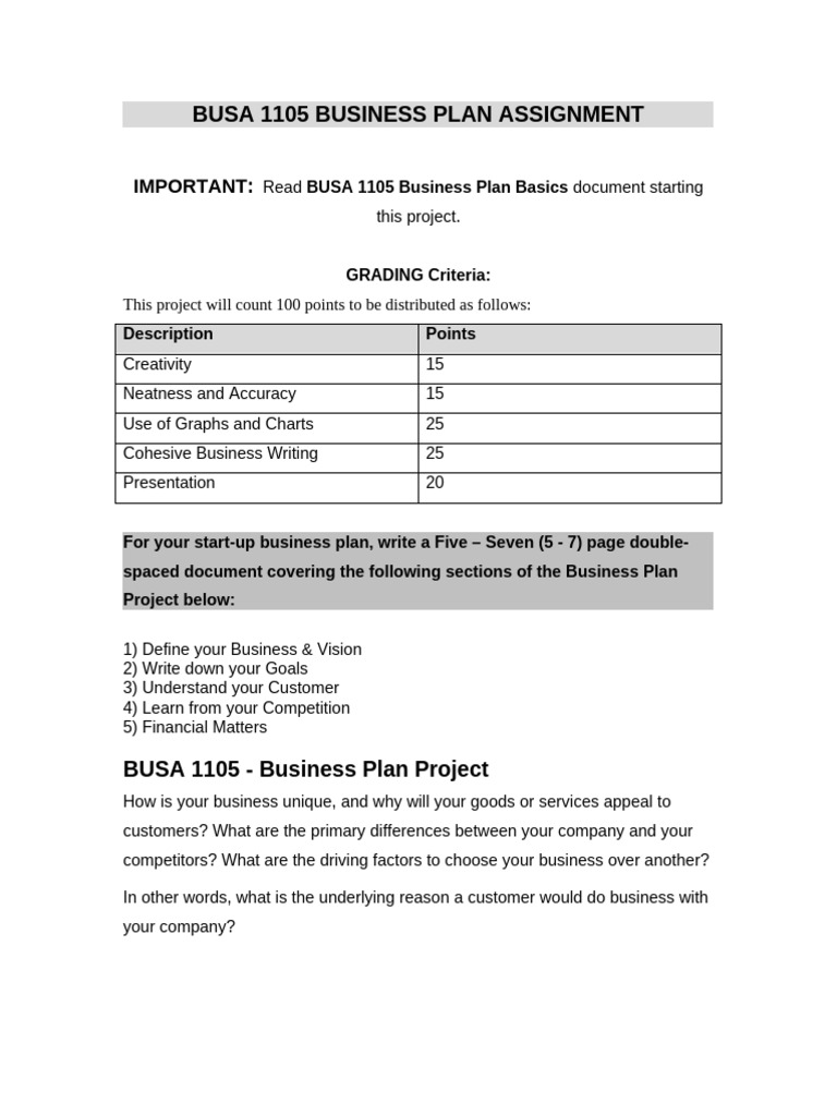 BUSA 1105 - Business Plan Assignment | PDF | Cash | Risk
