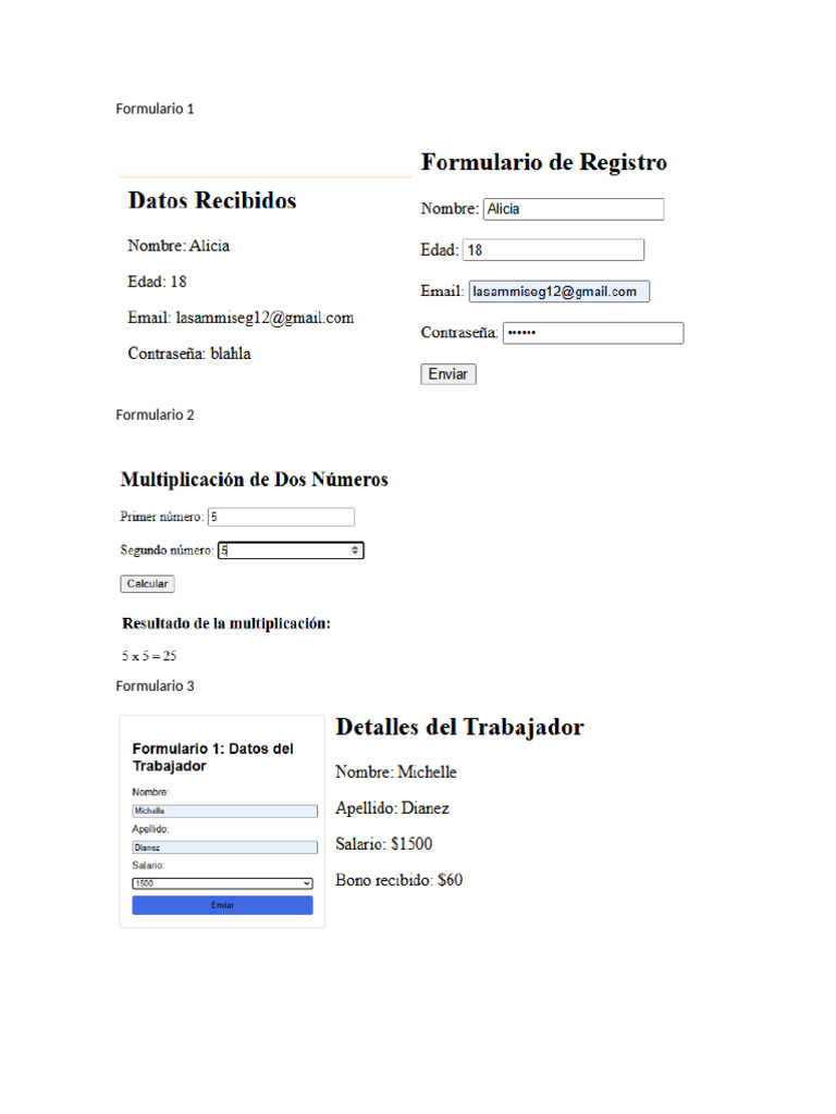 Ejercicios de Formulario | PDF