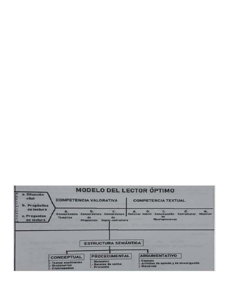 Cuestionario Modelo Del Lector Optimo | PDF