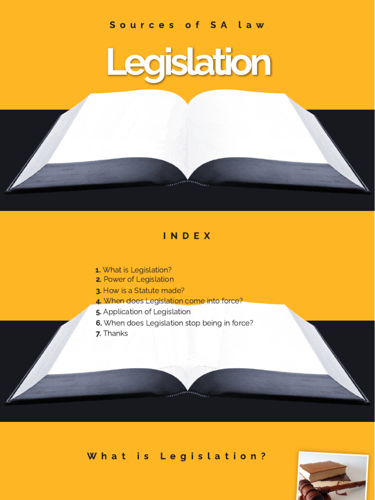 Understanding South African Legislation | PDF | Bill (Law) | Justice