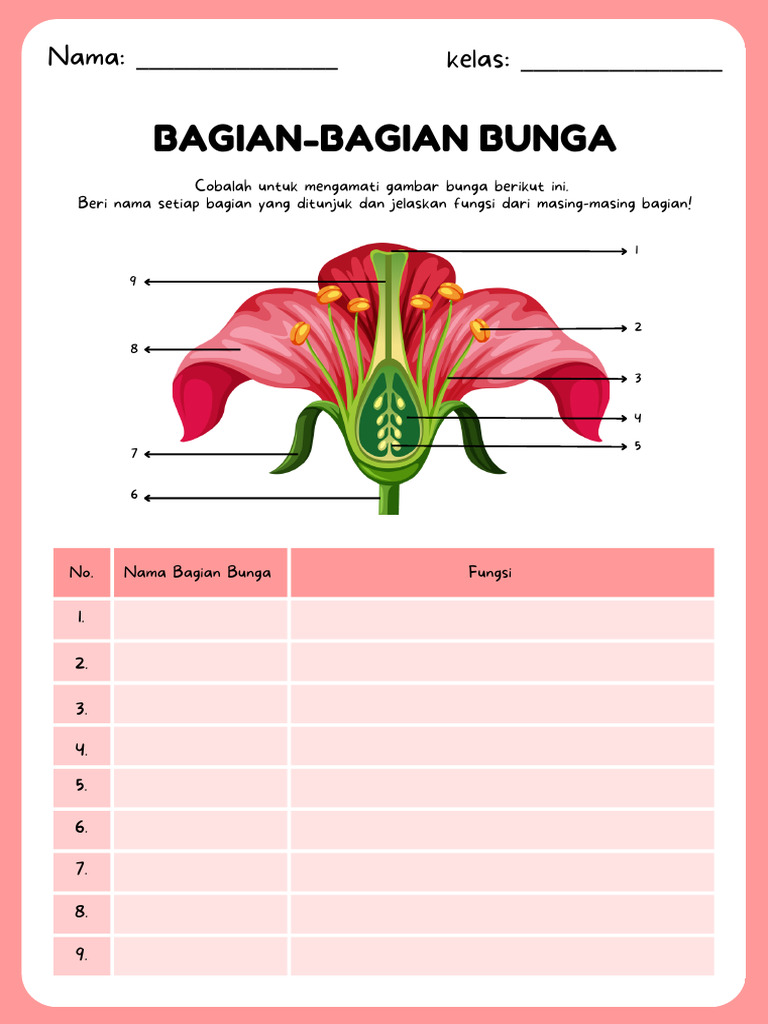 Lembar Kerja IPA Bagian Bunga Merah Ilustratif | PDF
