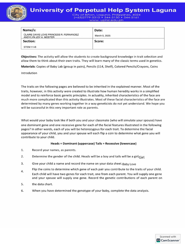 Baby Lab | PDF