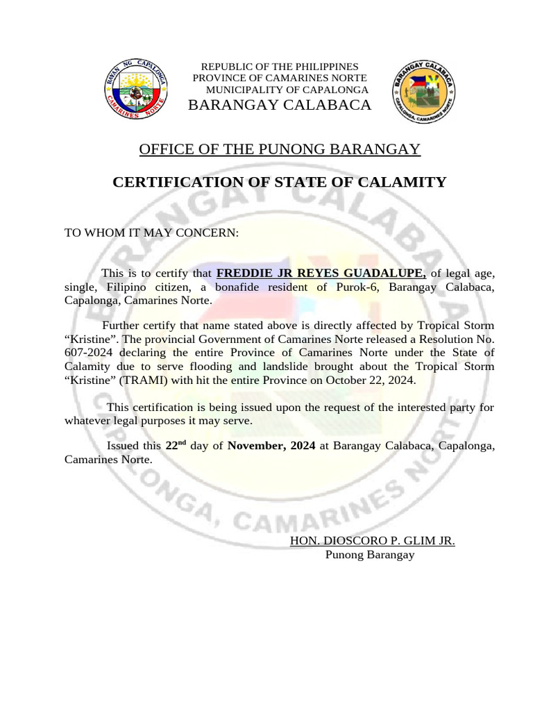Certificate of State of Calamity | PDF