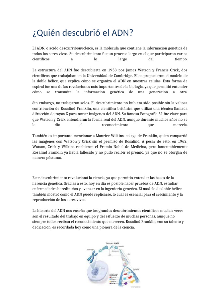 Descubrimiento Del ADN | PDF