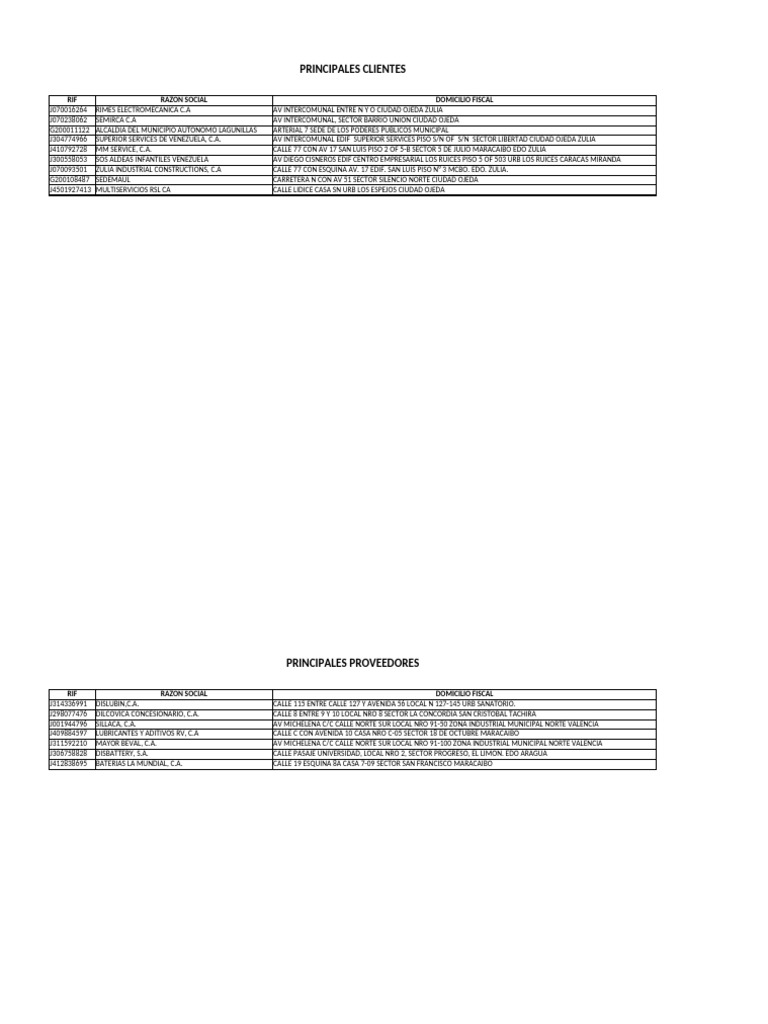 Principales Clientes y Proveedores | PDF