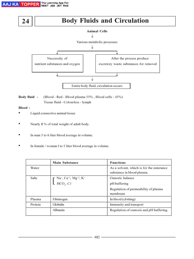 24 Body-Fluids-and-Circulation | PDF | White Blood Cell | Heart