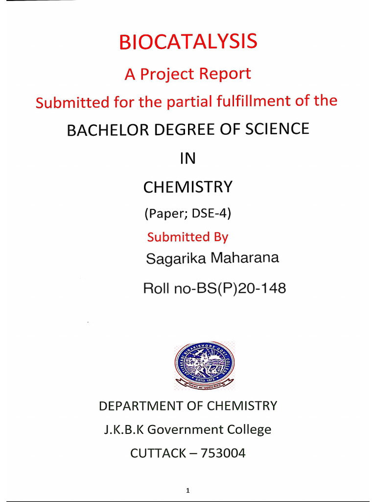 Dse Project (Sagarika) | PDF