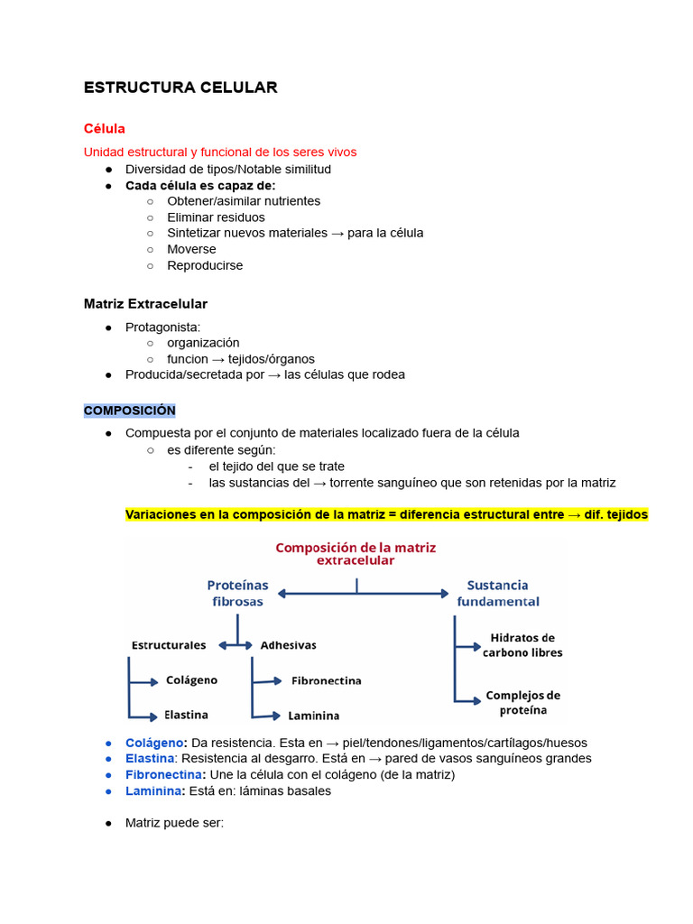 Celula Resumen | PDF | Cromosoma | Membrana celular