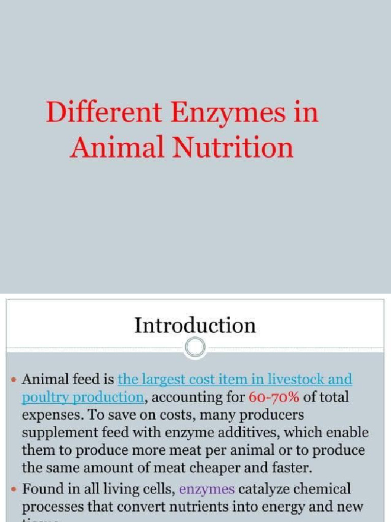 Slidesaver - App Bwkfif | PDF