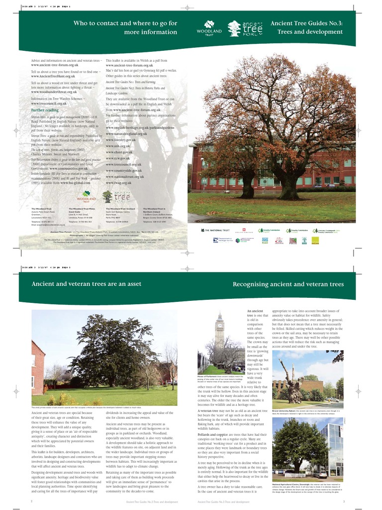 Ancient Tree Guide 3 - Trees and Development | Download Free PDF ...