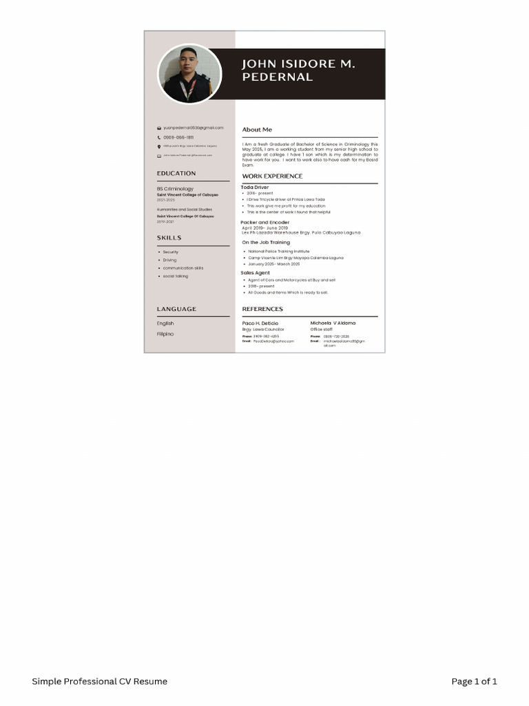 Simple Professional CV Resume | PDF