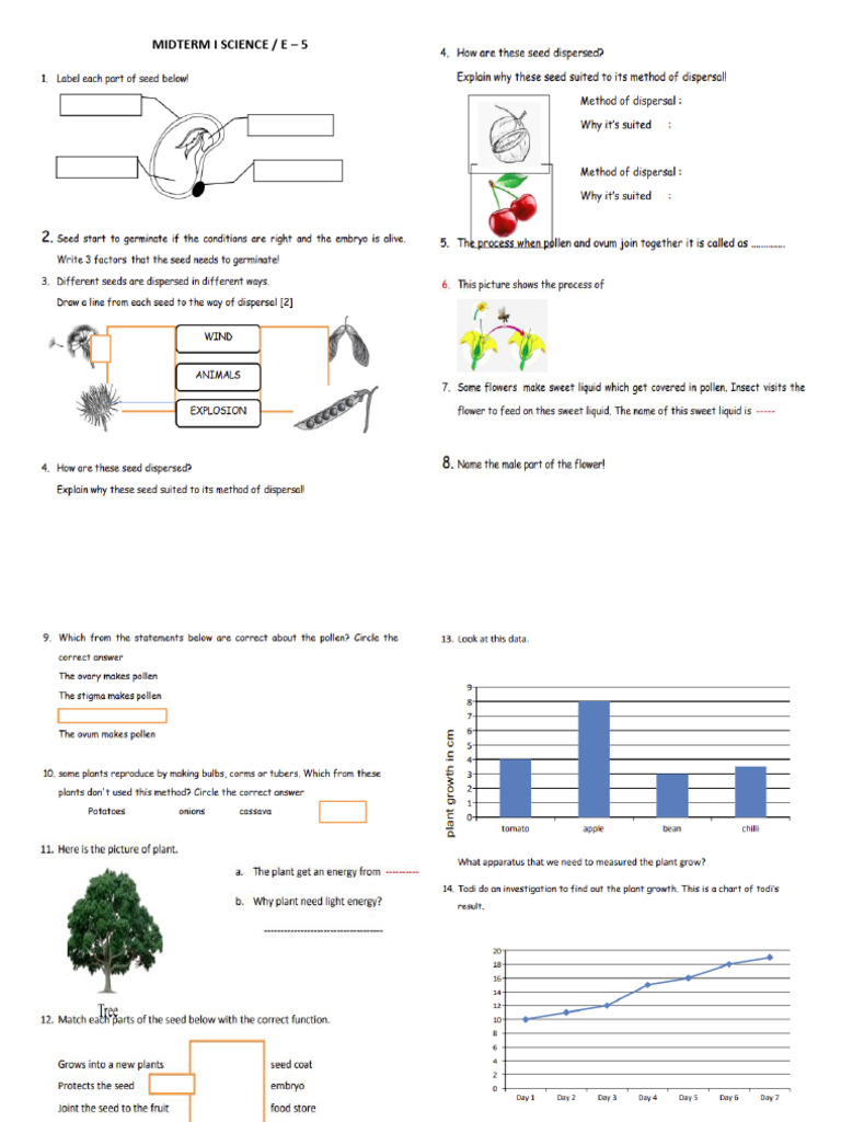 Midterm I - Science - E5 - 2022 | PDF