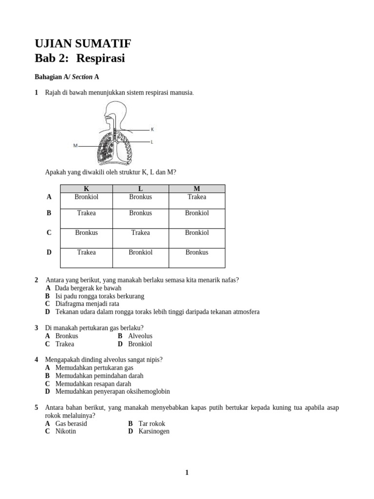 Ujian Sumatif T3 Bab 2 | PDF