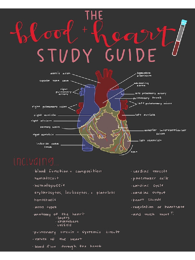 Notes - Heart | PDF