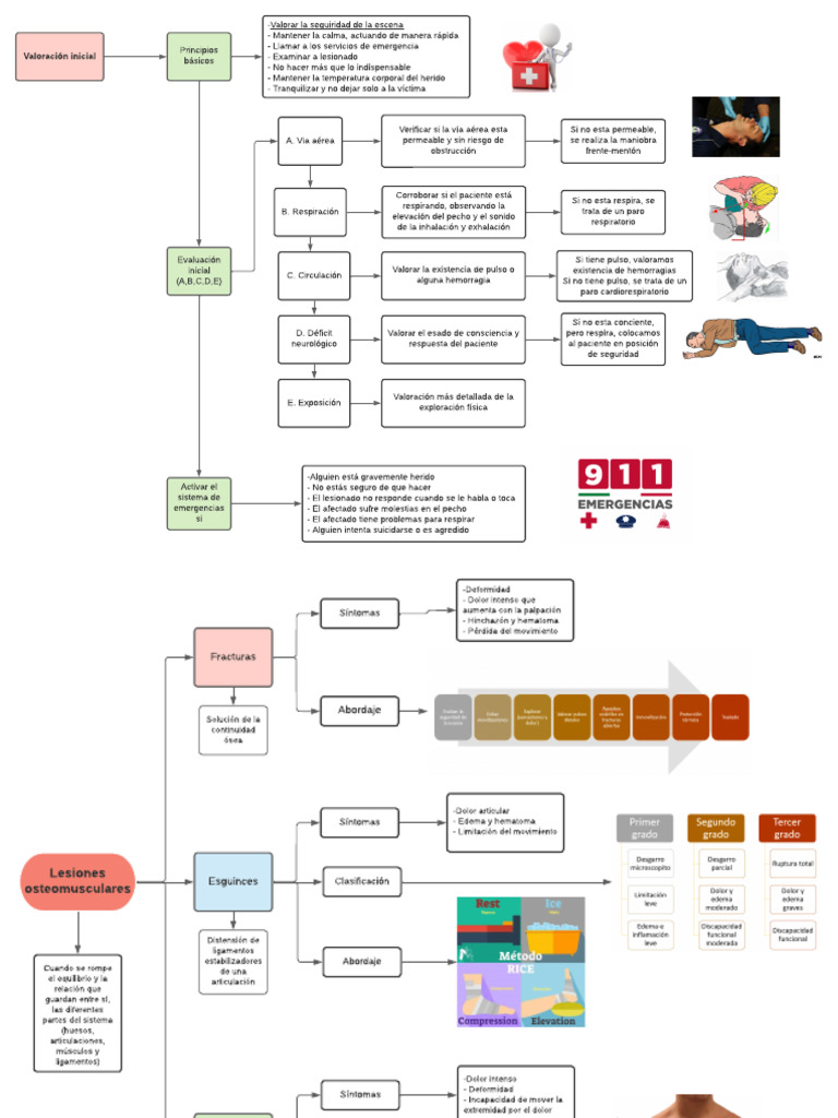 Asma 2.0 | PDF | Reanimación cardiopulmonar | Especialidades Medicas