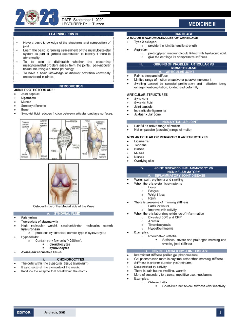 Musculoskeletal System Assessment Guide | PDF | Joint | Human ...