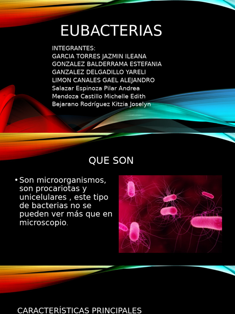 Tipos y características de eubacterias | PDF