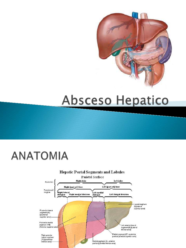 Absceso Hepatico | PDF | Enfermedades y trastornos | Medicina CLINICA