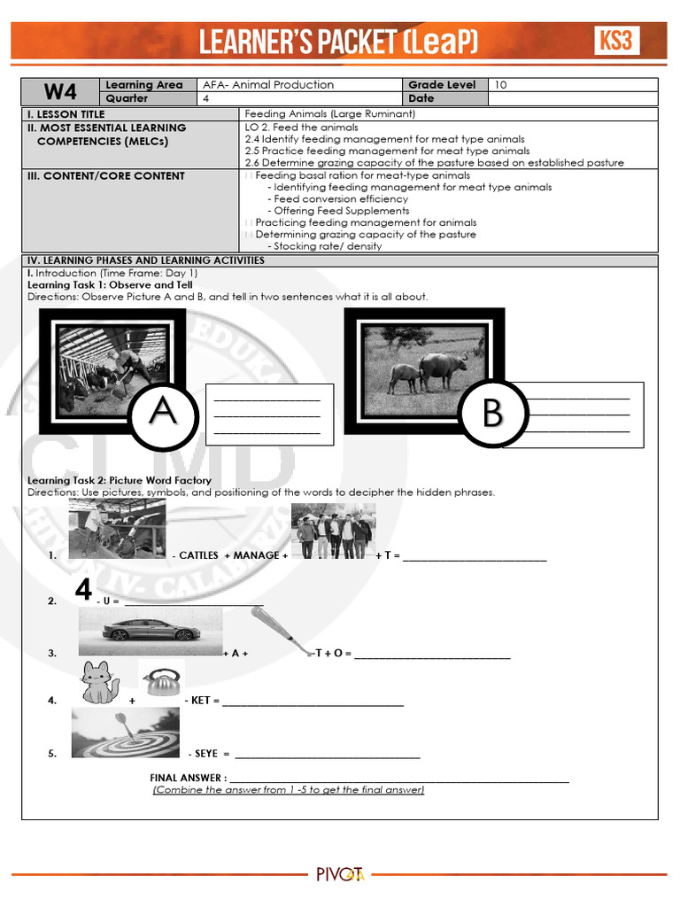 Q4 AFA RUMINANTS 10 Week 4 | PDF | Cattle | Grazing