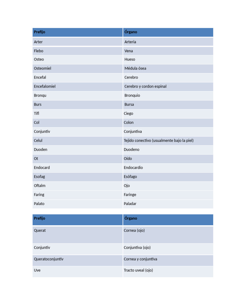 Prefijos | PDF