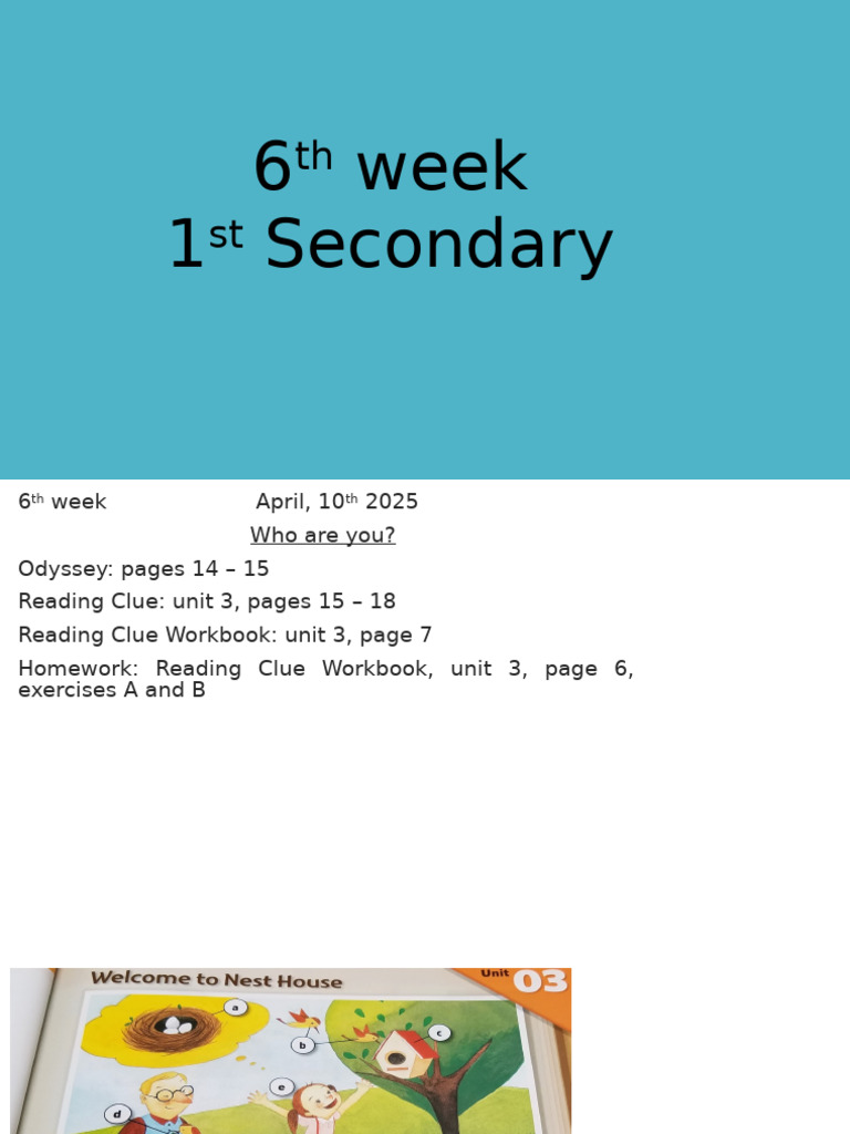 1ro Sec 6ta Semana | PDF