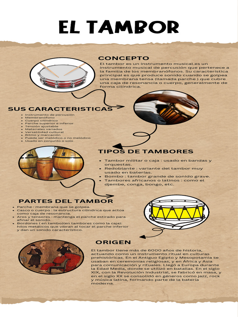 Infografia Del Tambor | PDF | Tambor | Tecnología musical