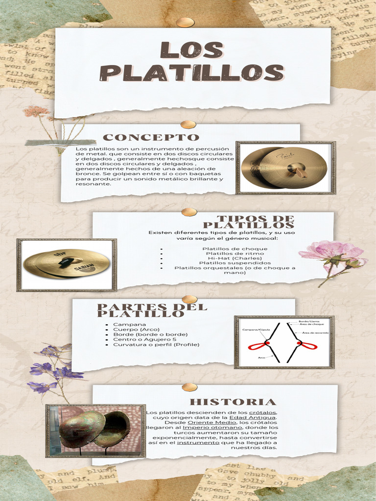 Infografia de Los Platillos | PDF