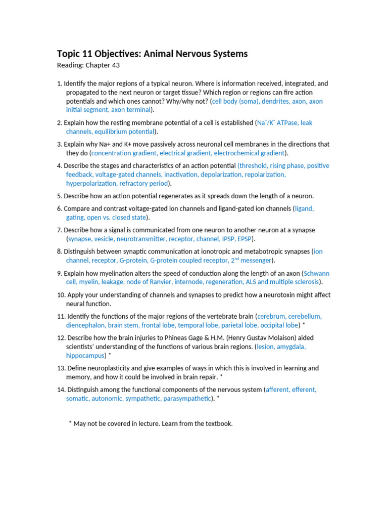 11 Animal Nervous System Objectives | PDF | Action Potential | Neuron