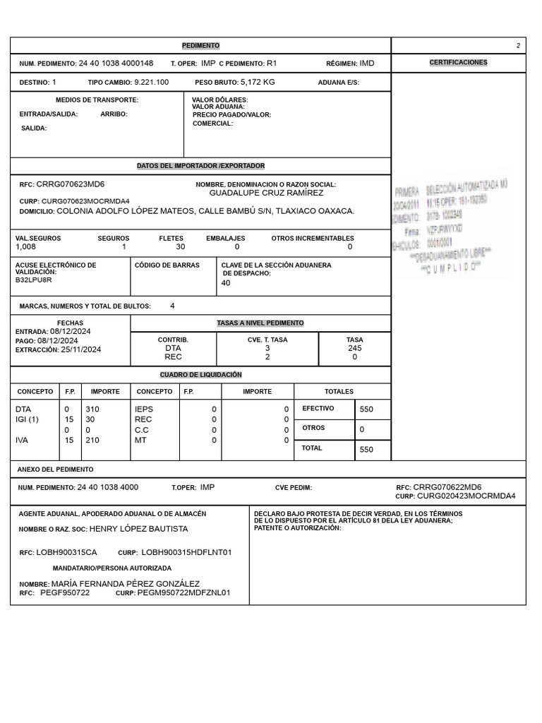 Formato Pedimento Exportacion | PDF | Economía mundial | Economias