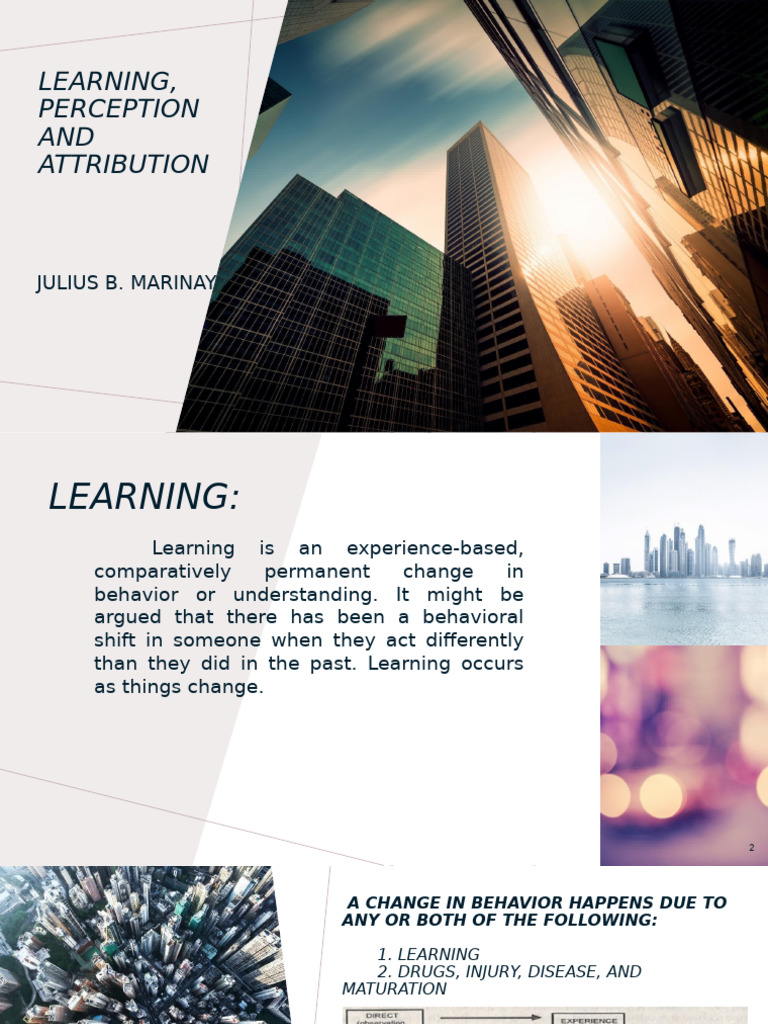 Learning, Perception and Attribution | PDF | Learning | Classical Conditioning