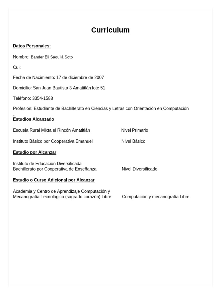 Curriculum Bander Eli_114351 | PDF