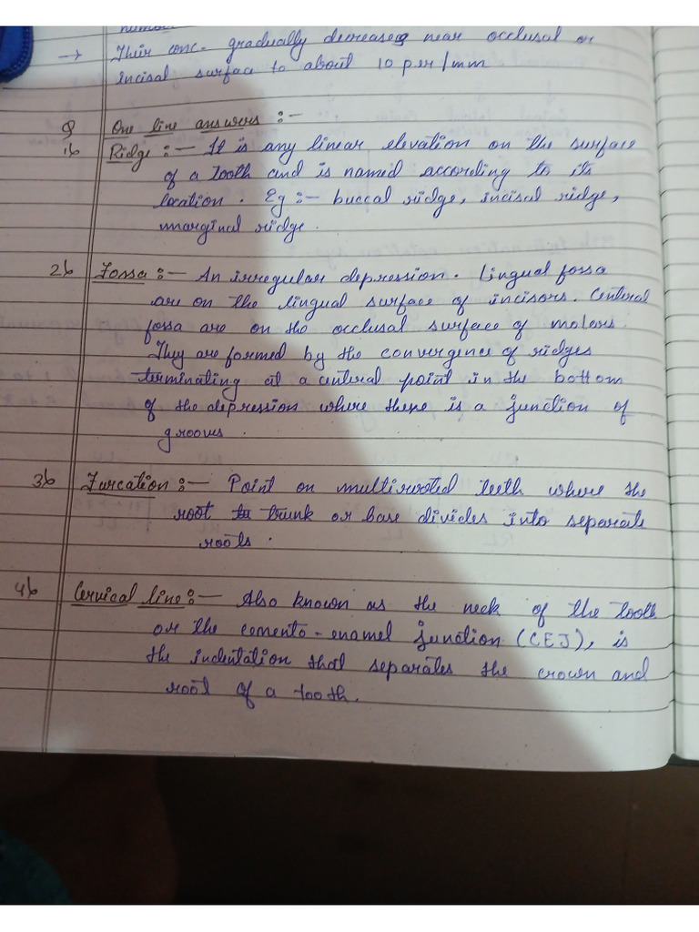 DA Terminology | PDF