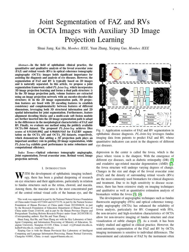 Joint Segmentation of FAZ and RVs in OCTA Images With Auxiliary 3D Image Projection Learning ...