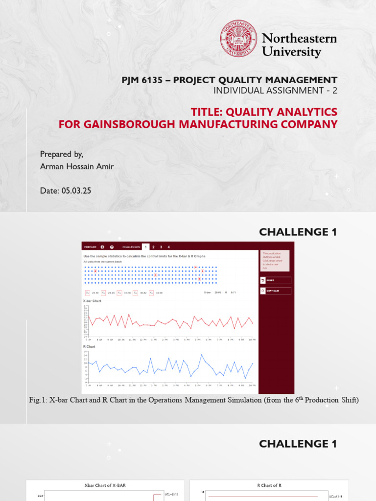 Individual Assignment 2 - Arman Hossain Amir | PDF