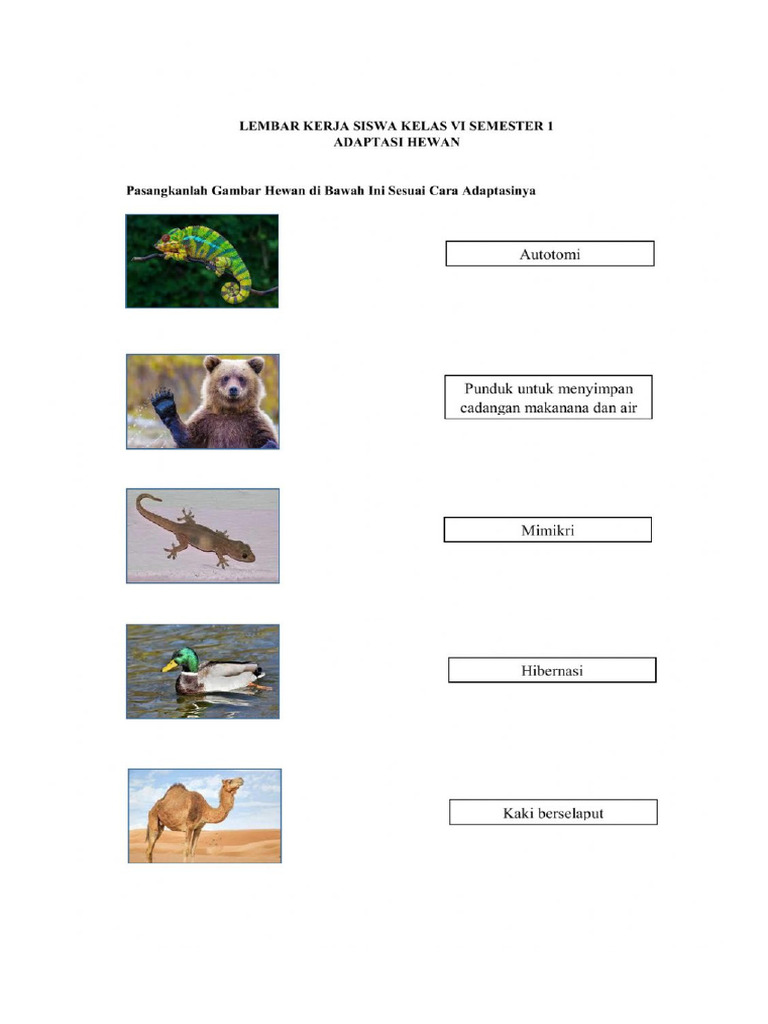 LKPD Adaptai Hewan 1 PDF | PDF