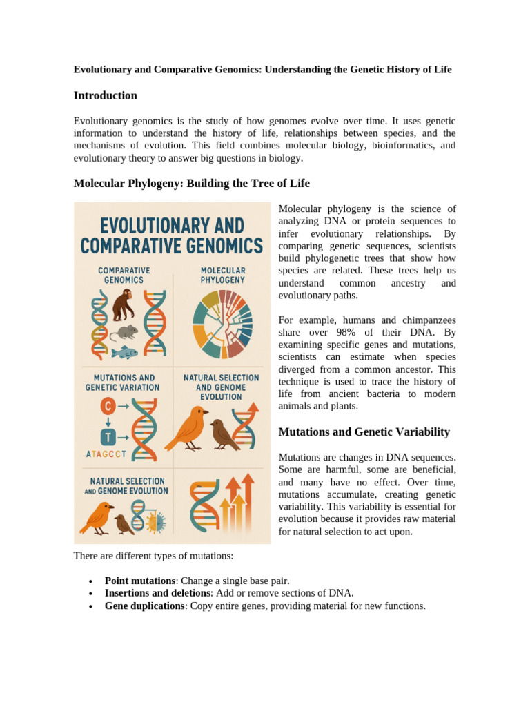 Evolutionary and Comparative Genomics | PDF | Evolution | Mutation