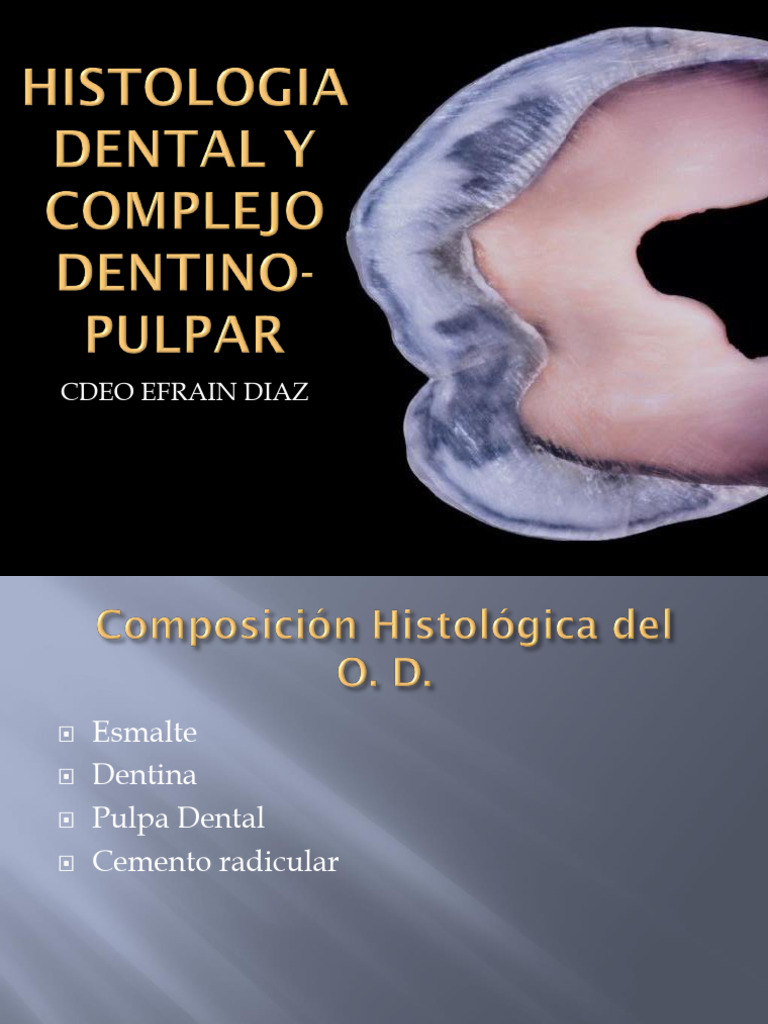 Propiedades y Composición del Esmalte Dental | PDF | Dentina | Esmalte ...
