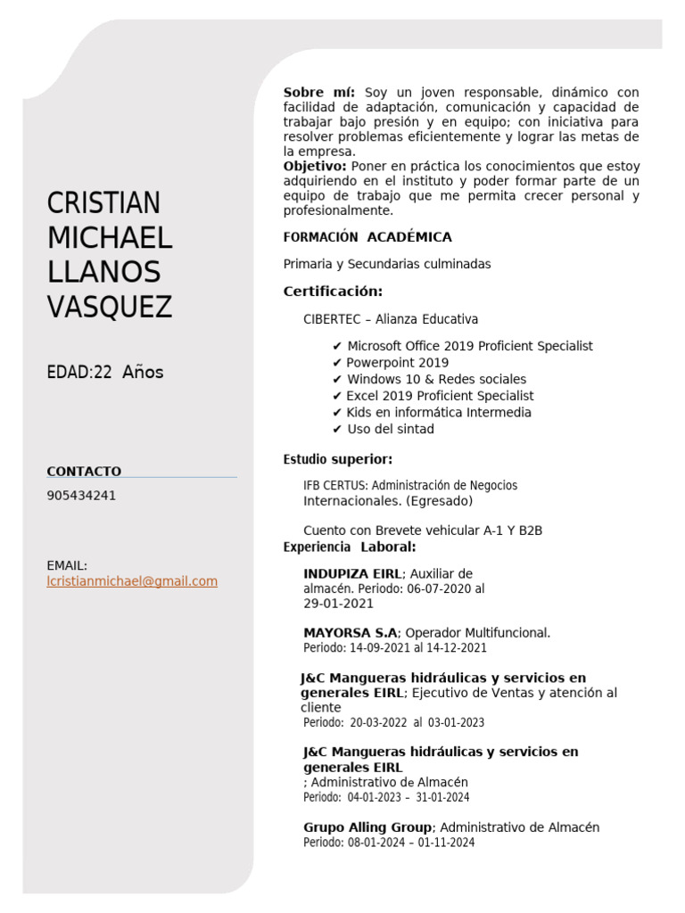 CV - Cristian Llanos | PDF